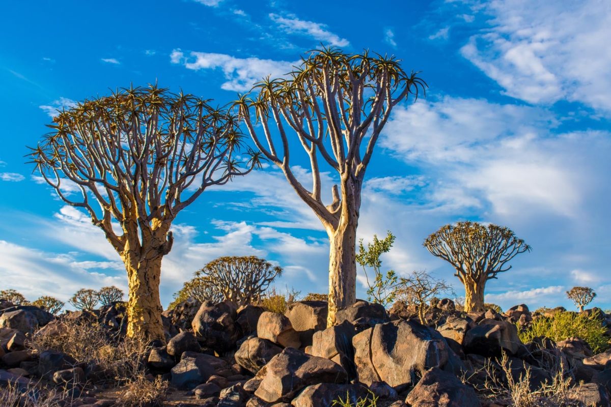 11 Campsites to See While Camping in Namibia- A Pair of Travel Pants