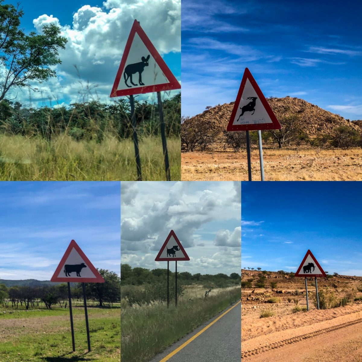 Self Driving in Namibia: How to Stay Safe, and Avoid Disaster